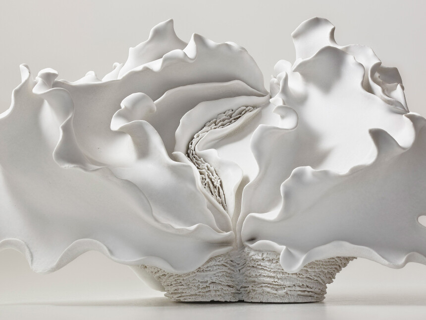 Noriko Kuresumi | Meer