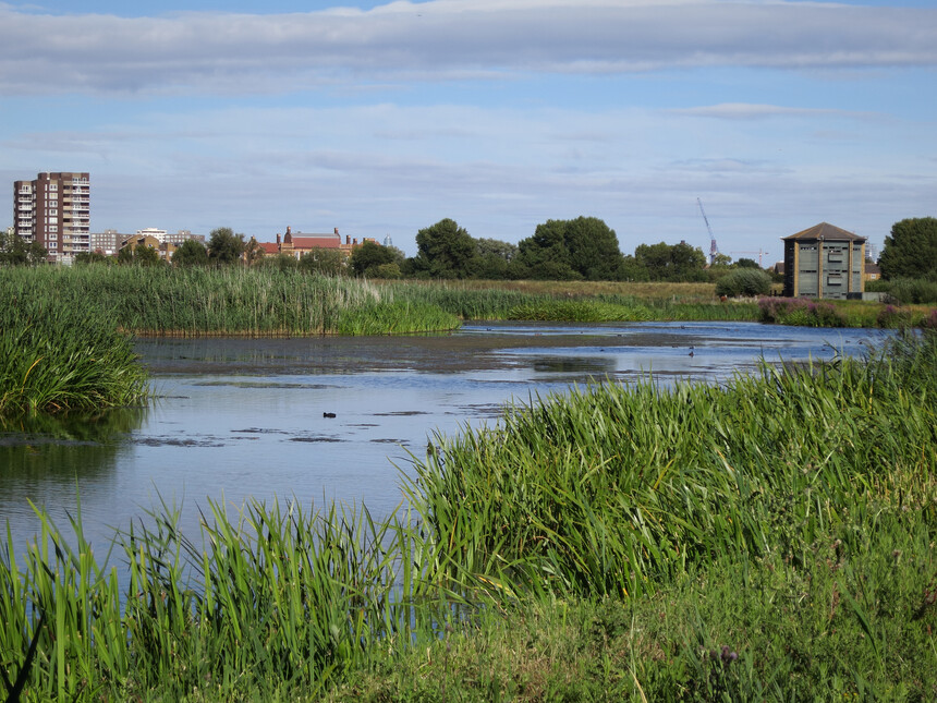 Enjoying London’s Biodiversity | Meer
