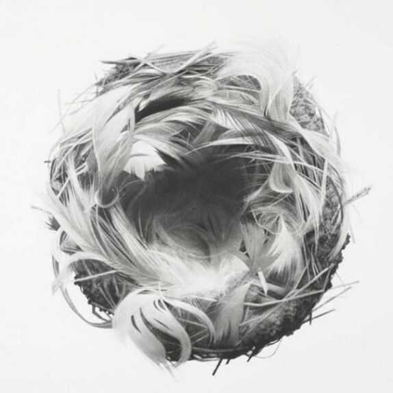 Jonathan Delafield Cook | Meer