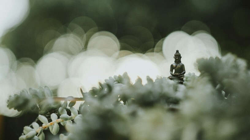 Meer | Edición en Español