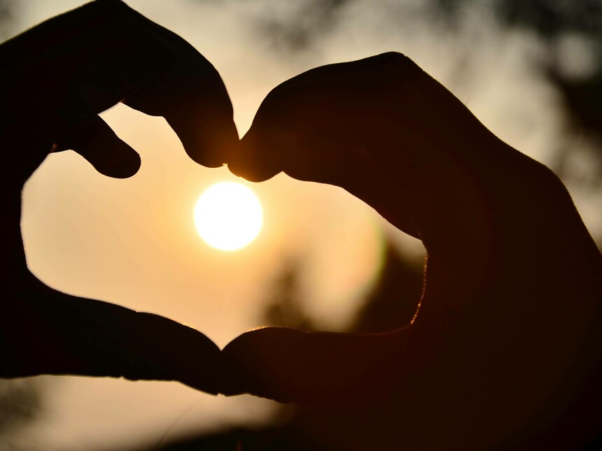 Ode to a healing heart | Meer