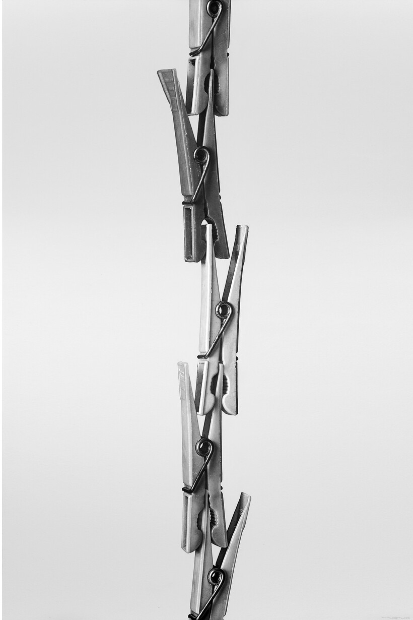 Rómulo Celdrán: Macro.Zoom | Meer