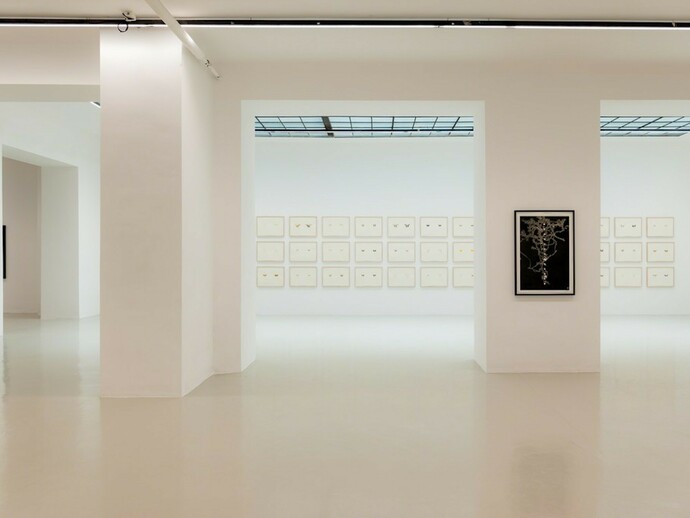 Maximilian Prüfer, Exhibition view. Courtesy of Galerie Lisa Kandlhofer ...