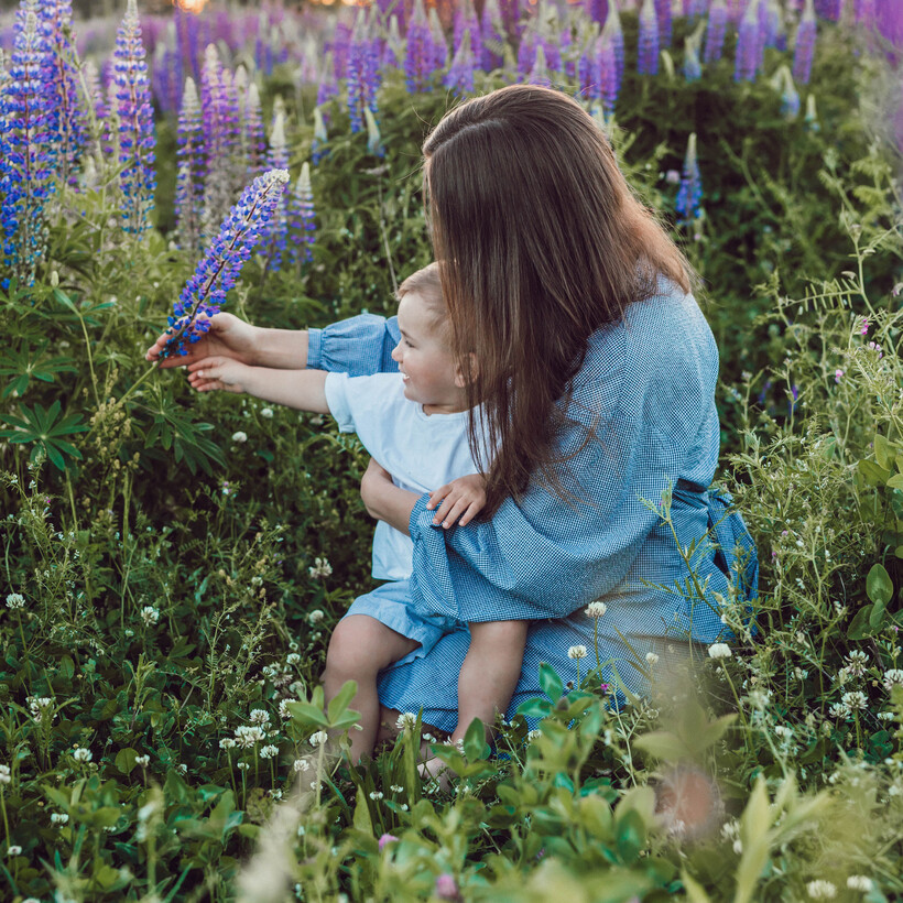 Why we need spiritual ecology | Meer