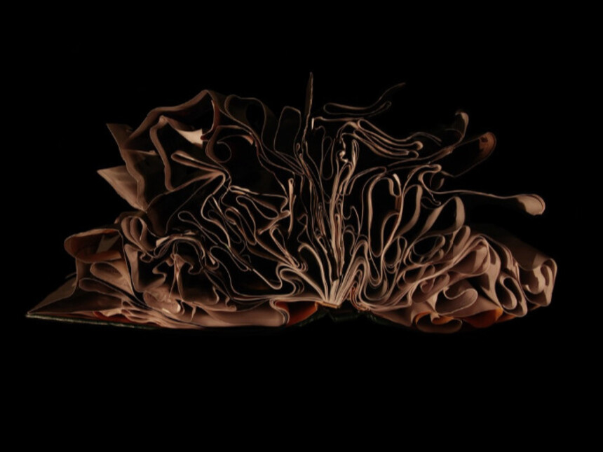 Richard Finkelstein | Meer