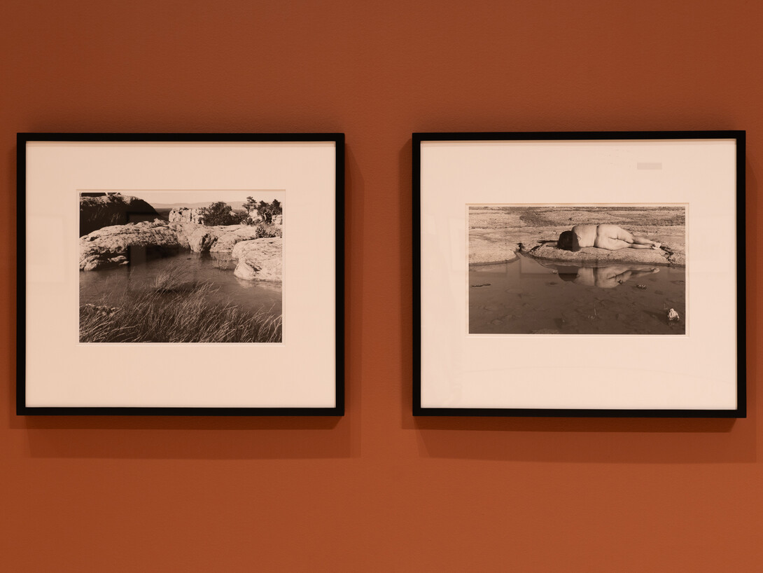 Desnudos en la naturaleza | Meer