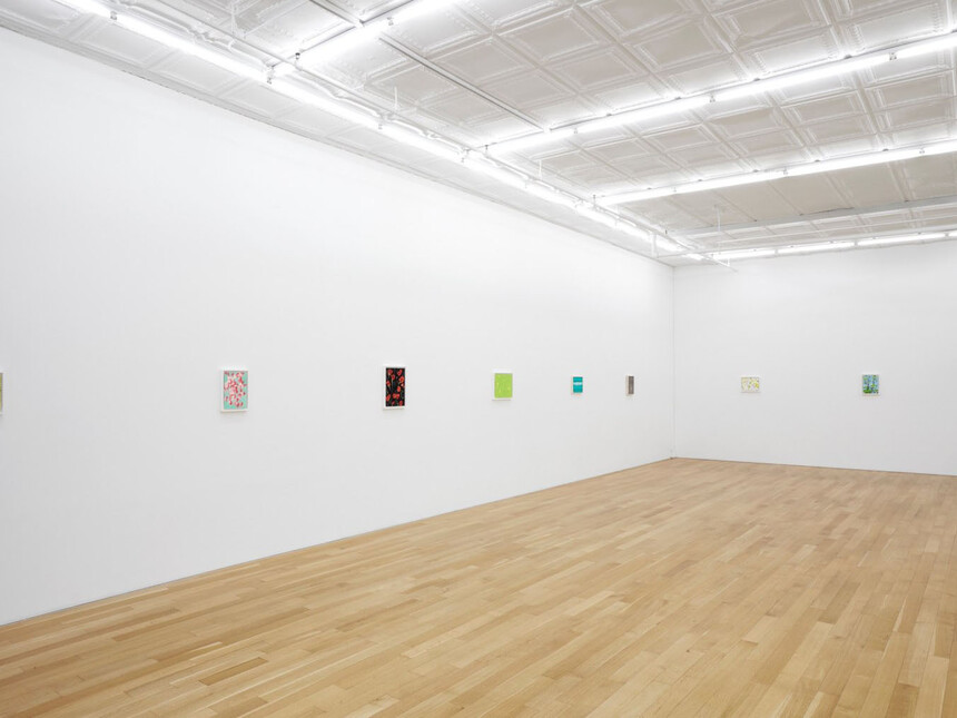 Shifting horizons | Meer