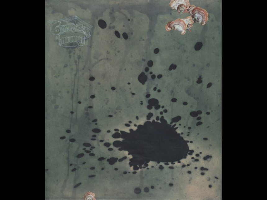 Tanja Softić | Meer