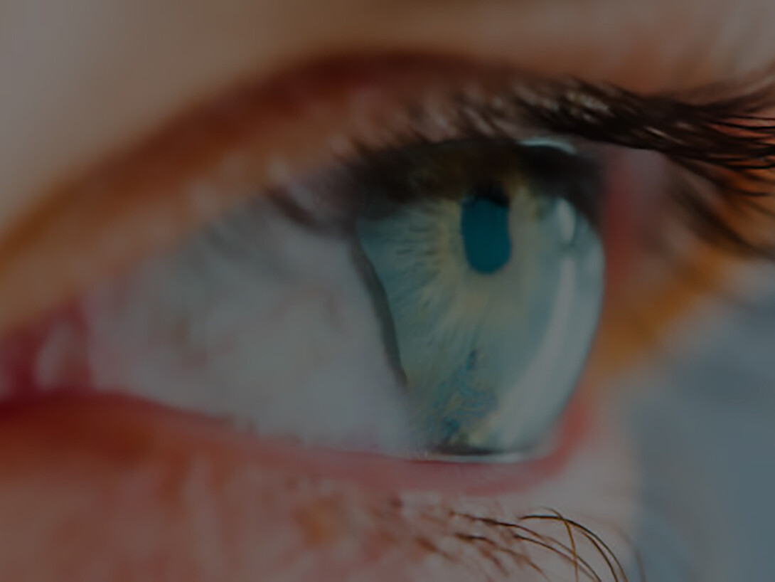 Perception vs. perspective: depths of human understanding | Meer