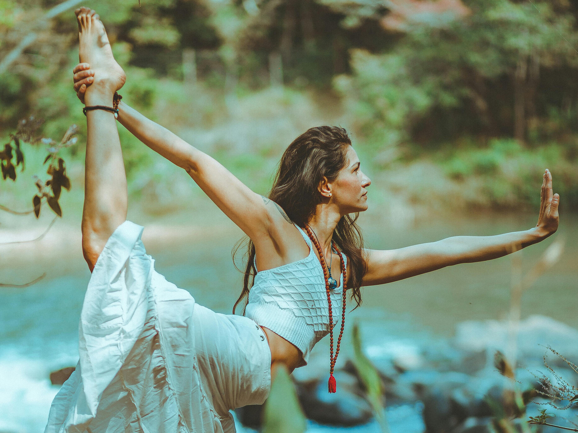 The worldwide “Transcend International” Organization | Meer