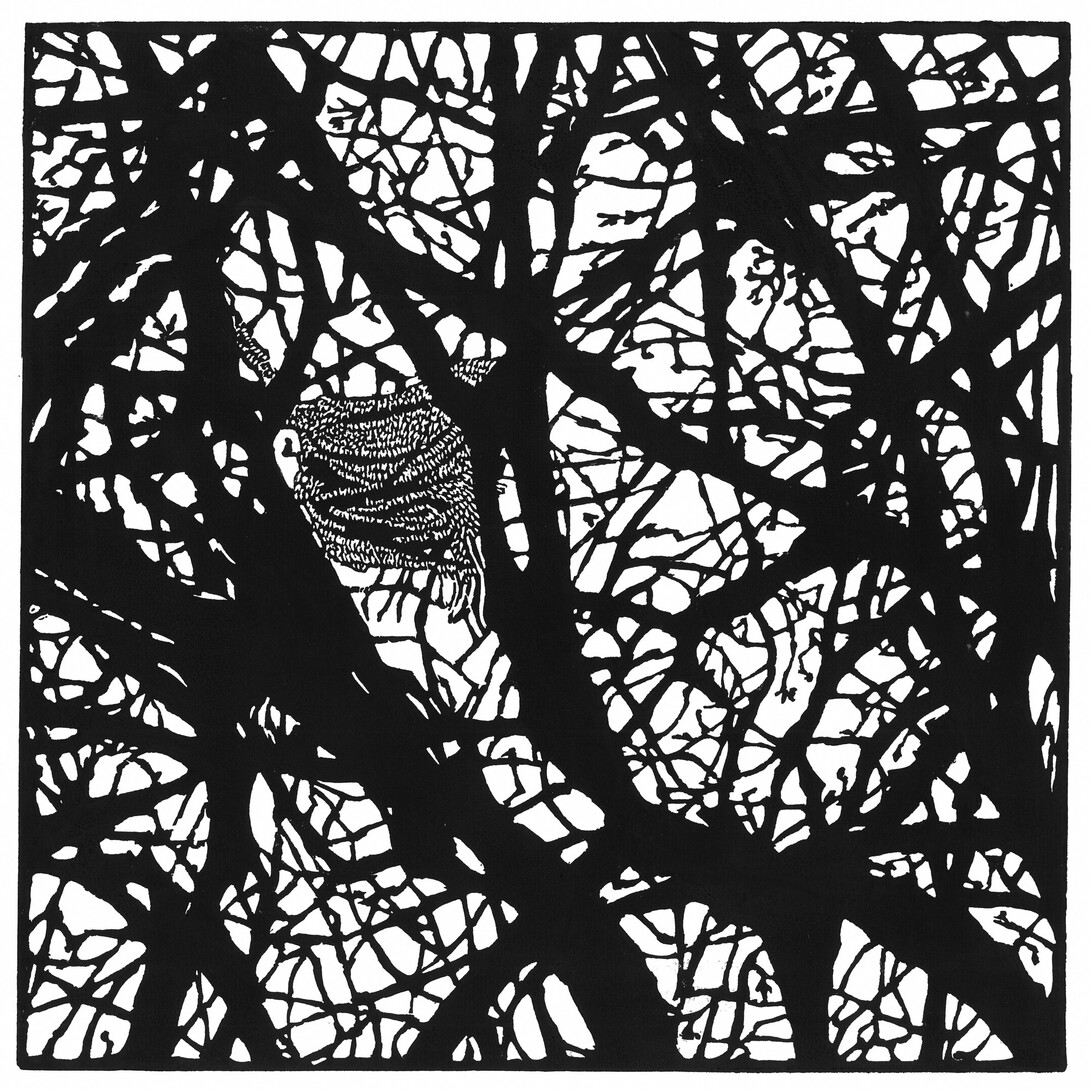 Paula Pohli. Lino and Egg | Meer