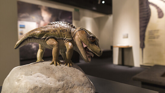 Permian Monsters | Meer