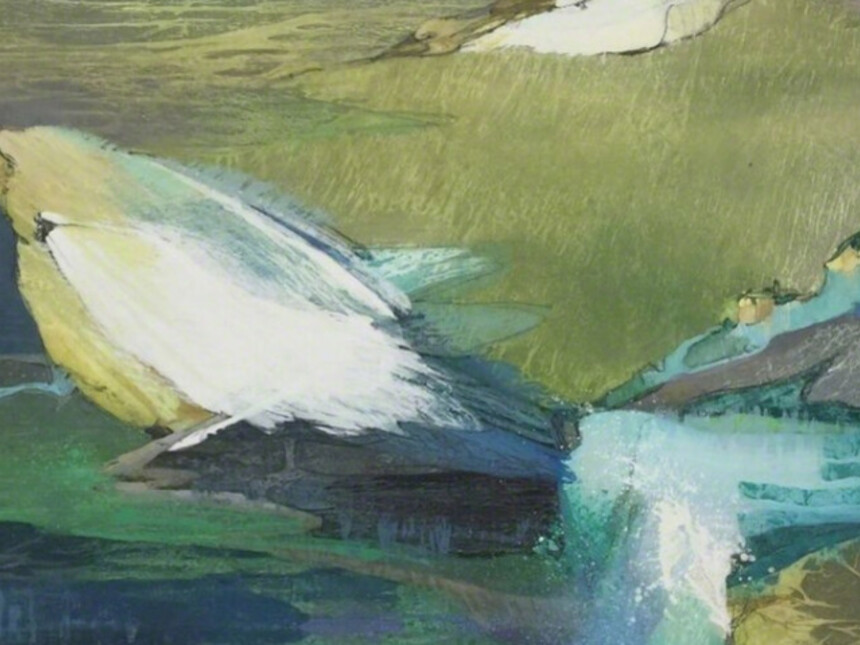 Perception vs. Reality | Meer