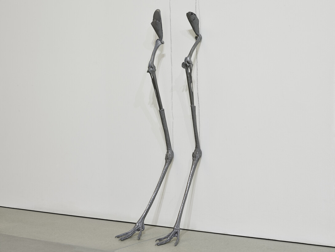 Michael Joo. Radiohalo | Meer