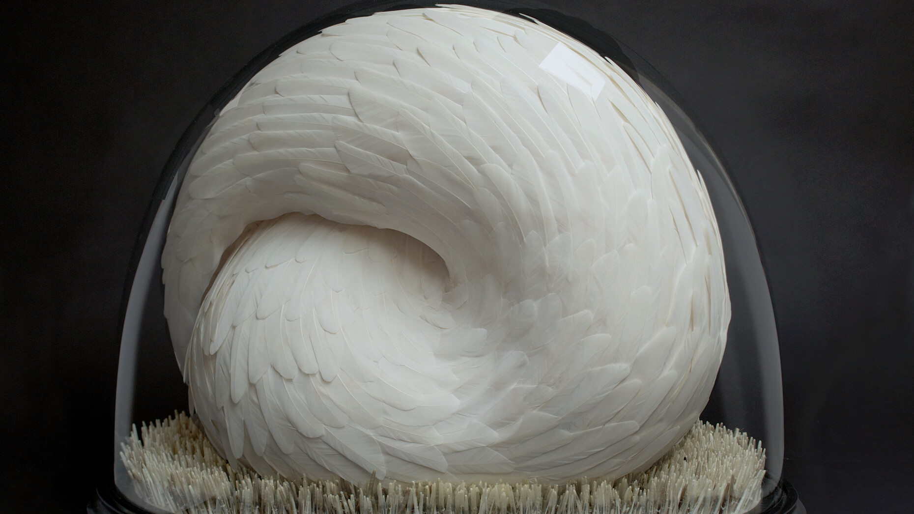 Kate MccGwire. Scissure | Meer