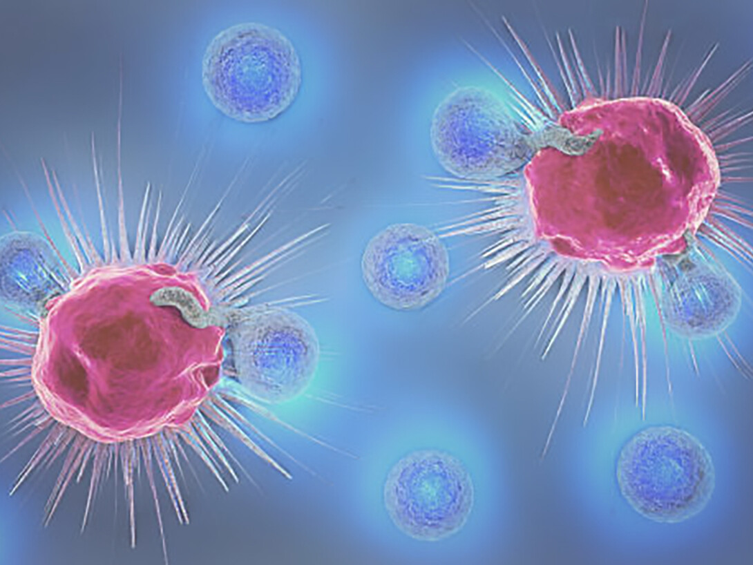 Epigenetic reprogramming in cancer: diagnosis and treatment | Meer