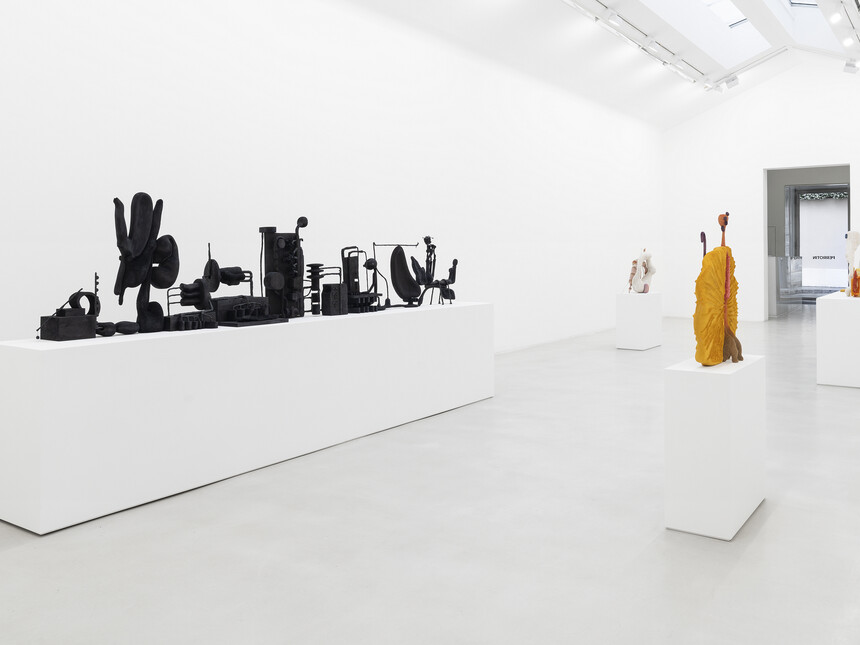 Thirteen forms | Meer