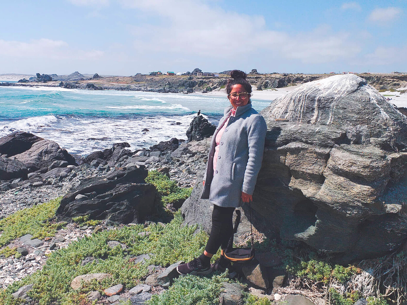 Punta de Choros: un lugar único frente al océano pacífico | Meer