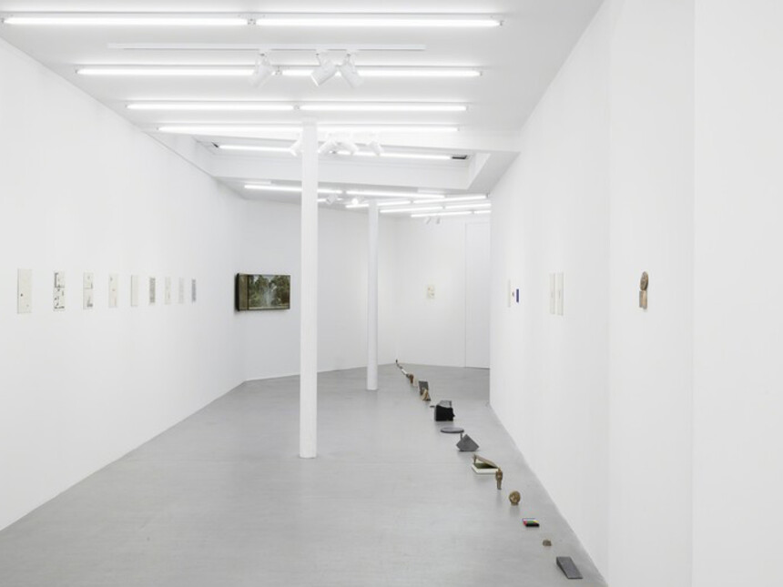 Carlos Alfonso | Meer