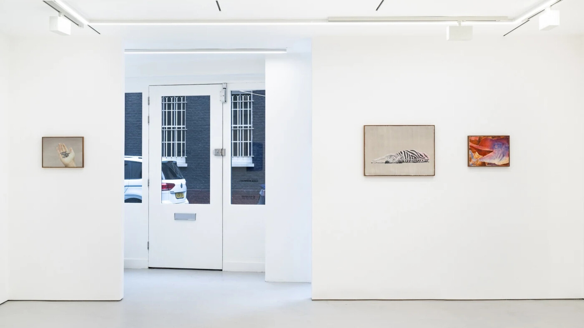 Ciarán Murphy. This appear | Meer