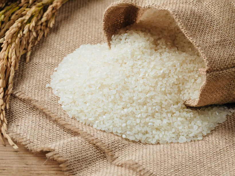 The story of rice and noodles | Meer