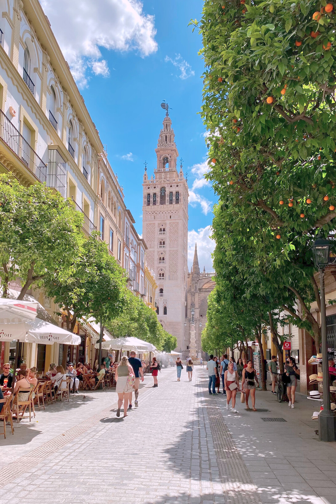 La Giralda de Sevilla | Meer