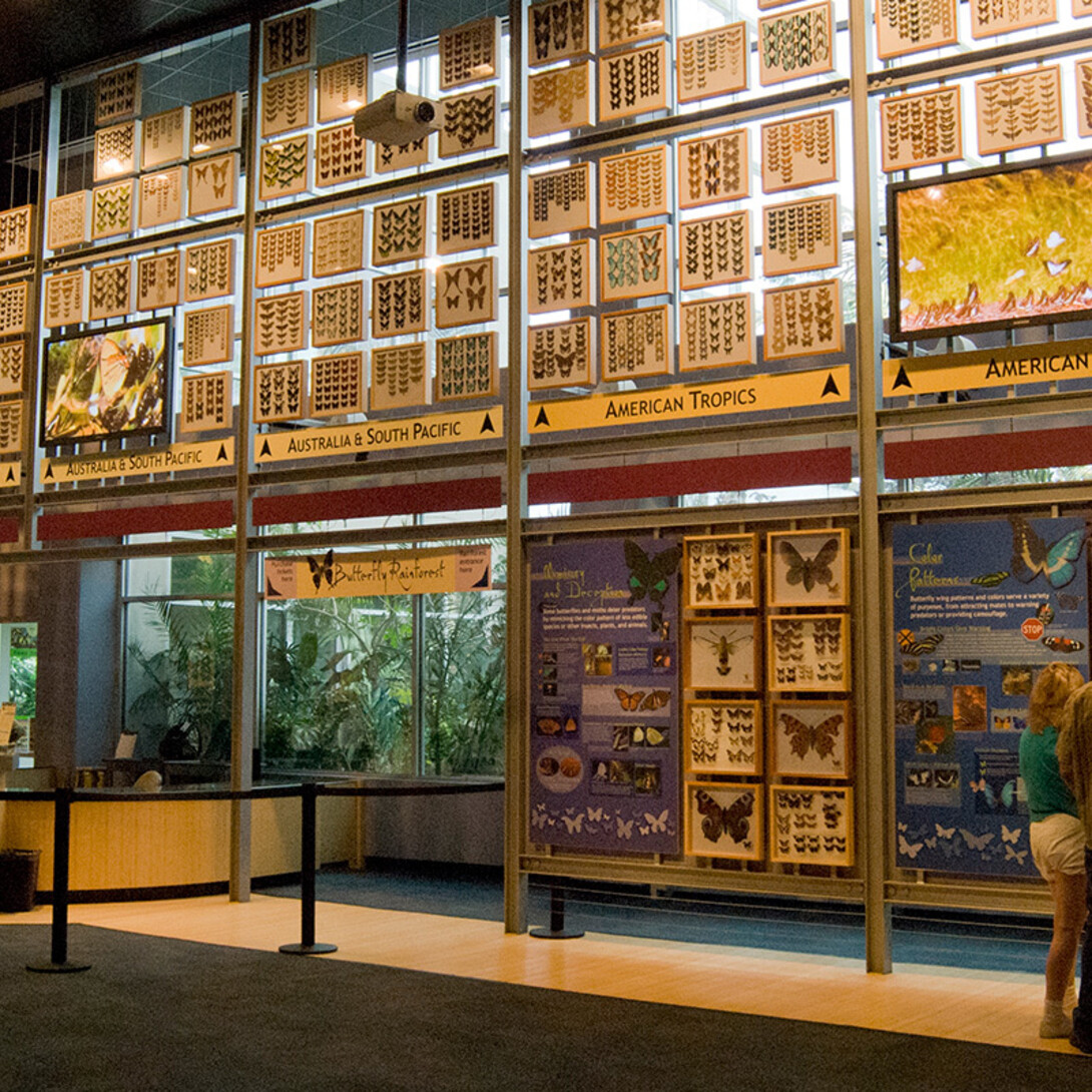 South Florida People & Environments | Meer