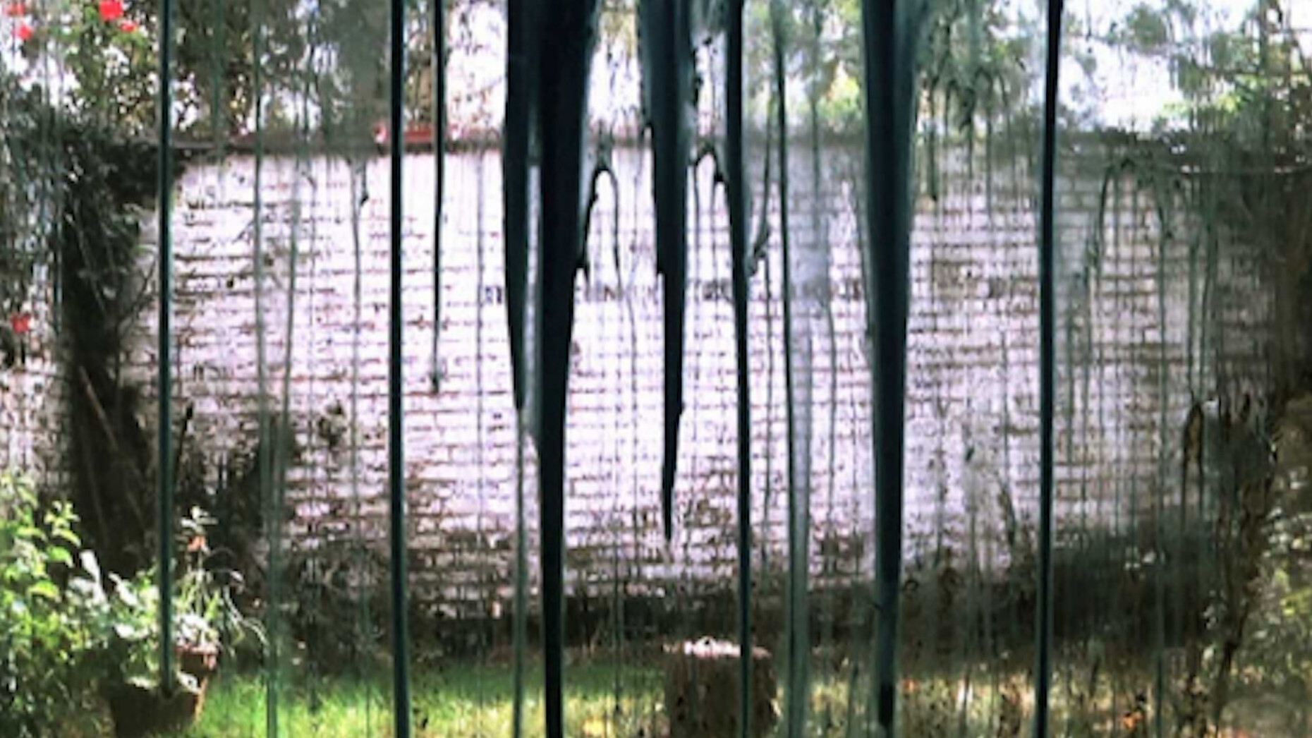 Angel Vergara | Meer