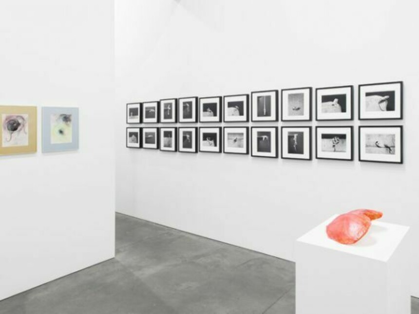 Counter Forms | Meer