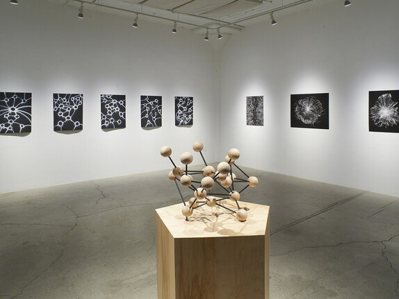 Greg Niemeyer and Roger Antonsen | Meer