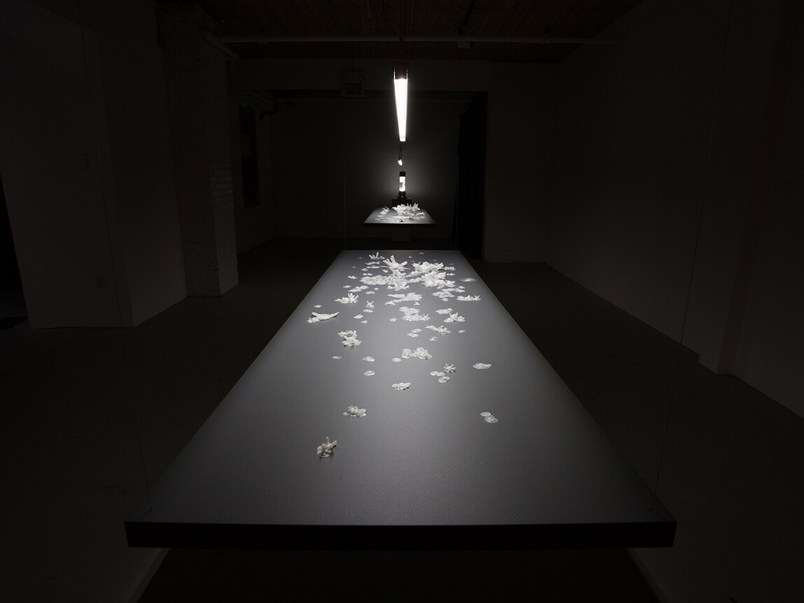 Stratification | Meer