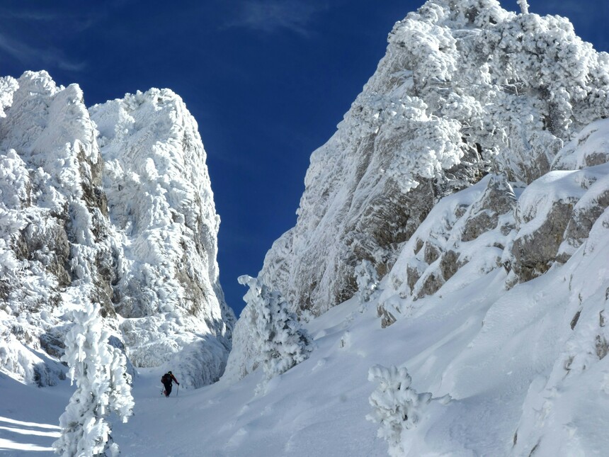 La Sila in Calabria | Meer