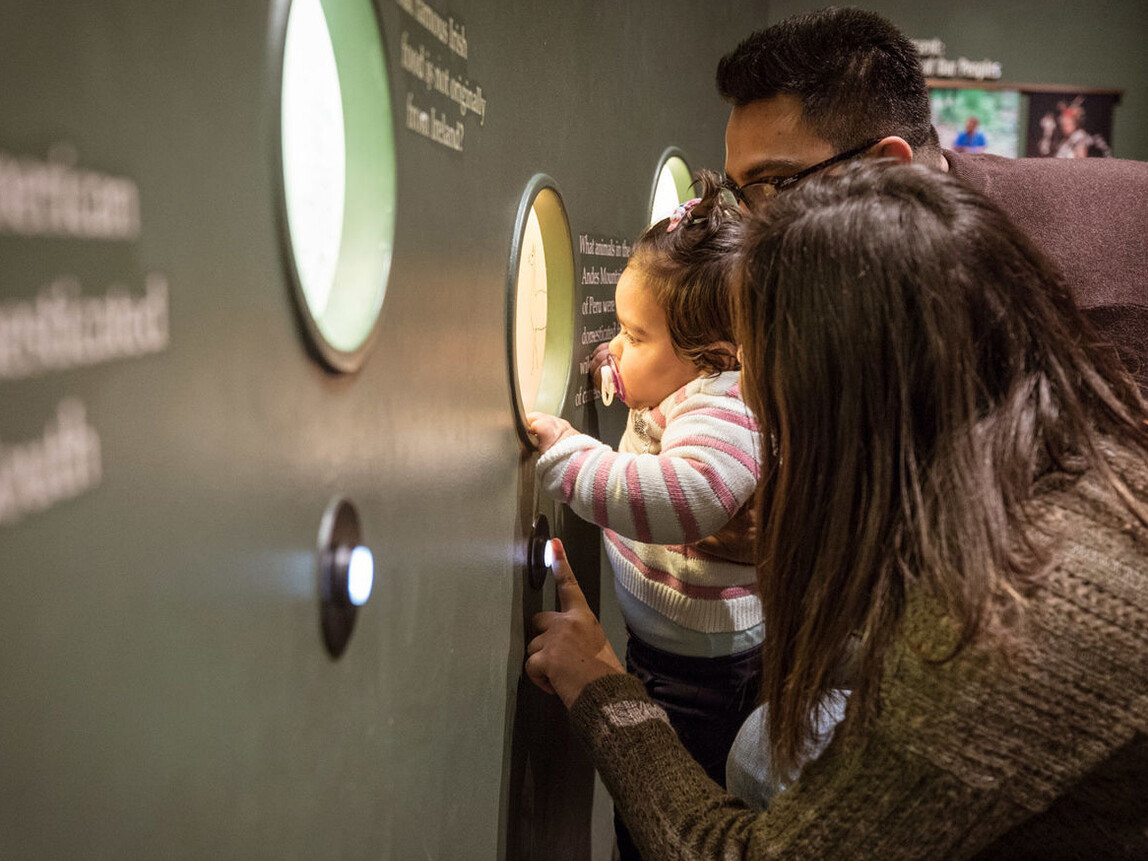 Robert R. McCormick Halls of the Ancient Americas | Meer