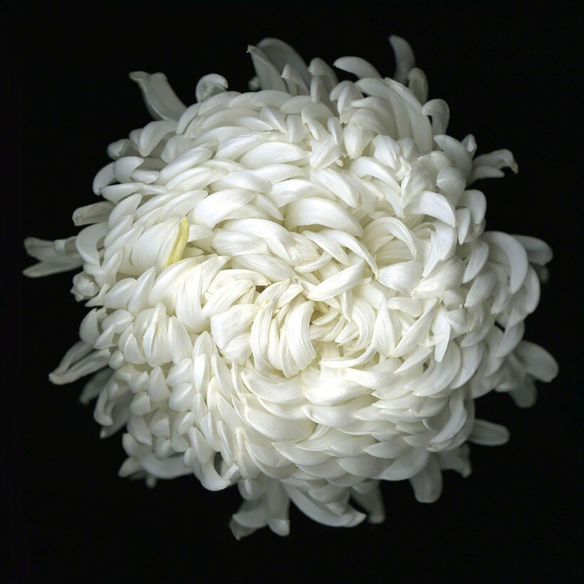 Katinka Matson | Meer