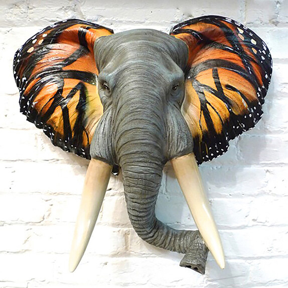 The Incredible world of Finn Stone | Meer