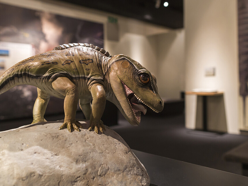 Permian Monsters | Meer