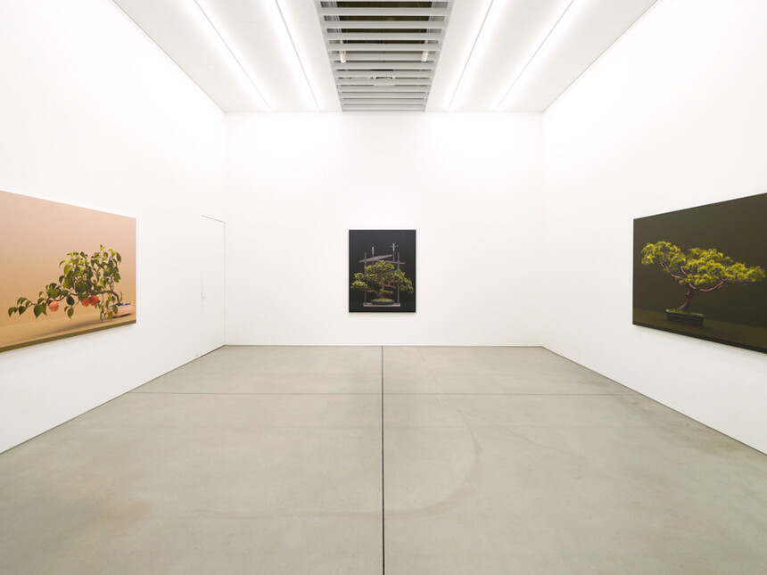 Nearly natural | Meer