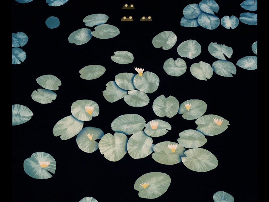 Casey Roberts | Meer