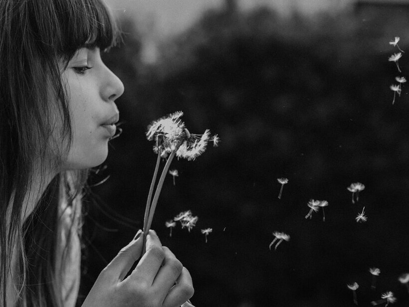 L’arte del respirare | Meer