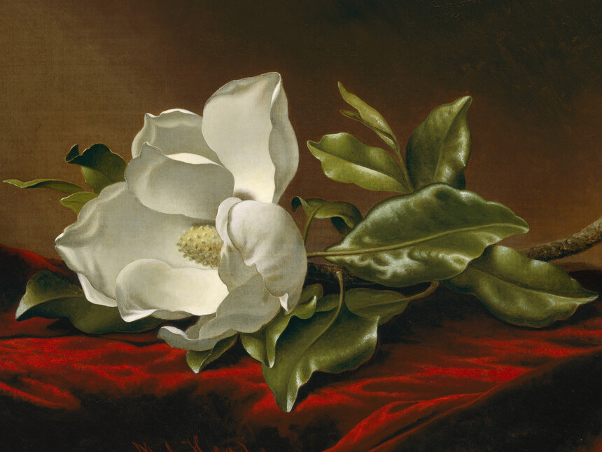 The Genius of Martin Johnson Heade. Courtesy of Georgia Museum of Art ...