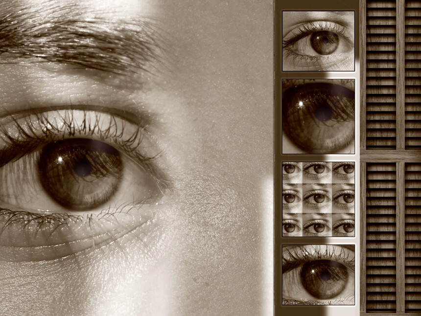 Distortion, perplexity, incapacity | Meer