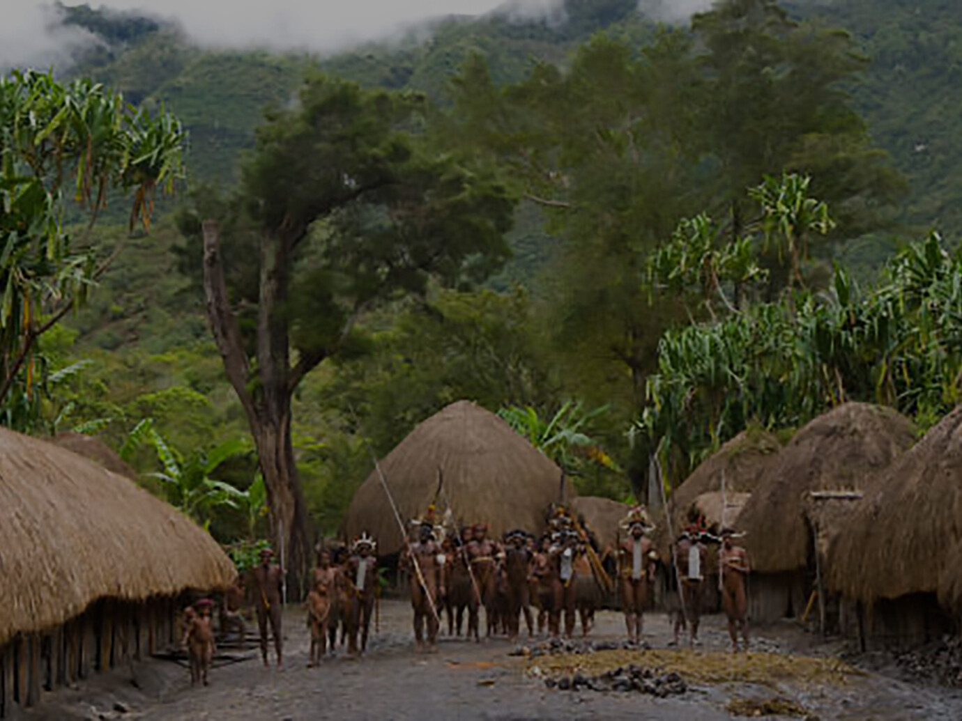 Sustainable vernacular architecture in Papua New Guinea | Meer