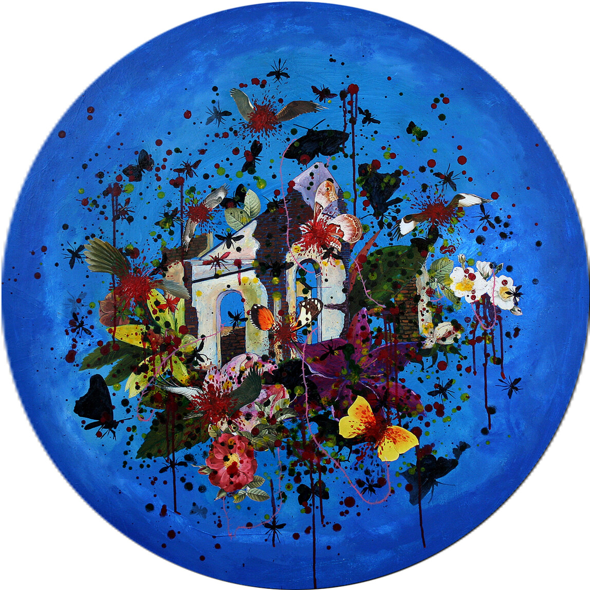 Priyantha Udagedara | Meer