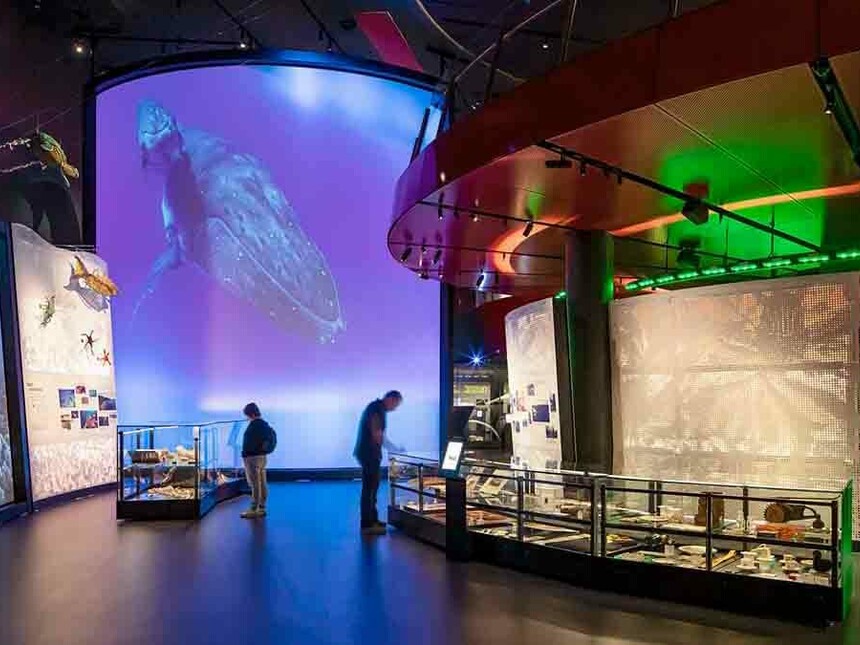 Great southern land | Meer