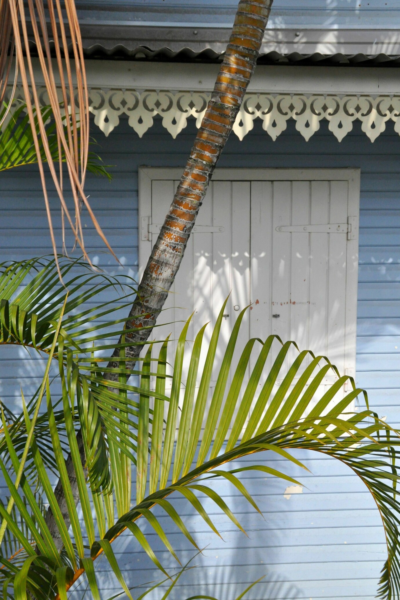 La Réunion, le charme des cases créoles | Meer