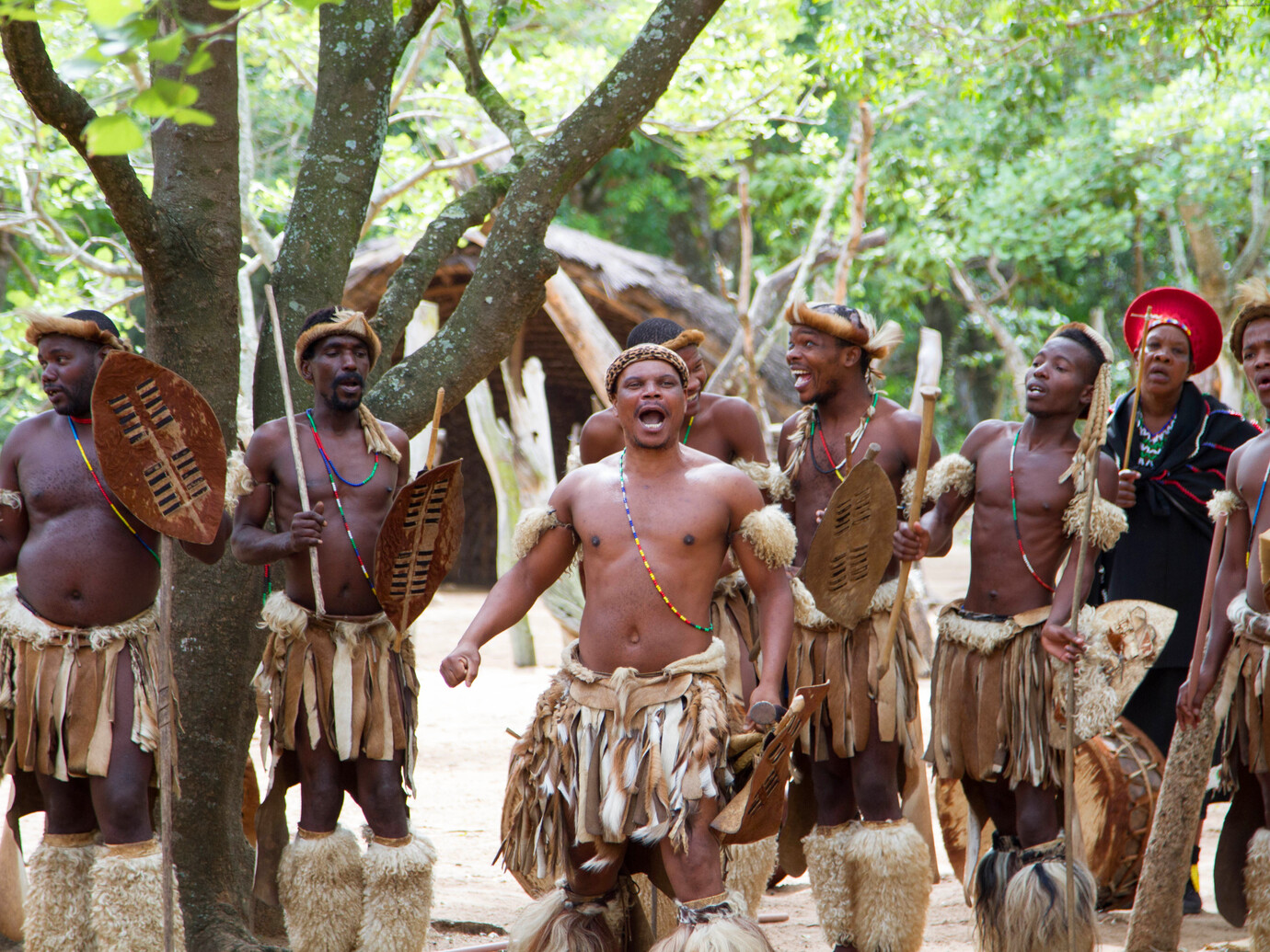 Reviving isiZulu: a South African linguistic renaissance | Meer