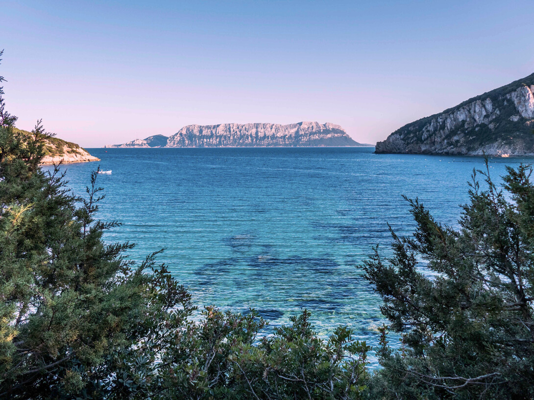 A world tour of the blue zones | Meer