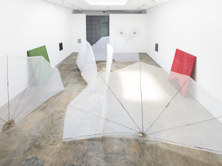 Jarbas Lopes, Elástica | Meer