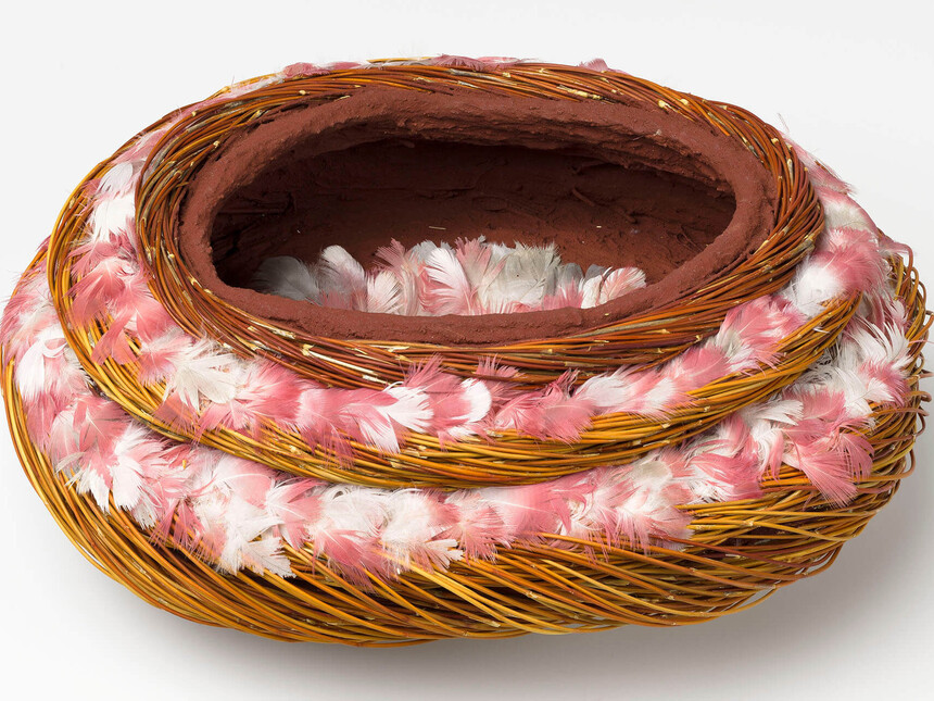 Shirley Macnamara | Meer