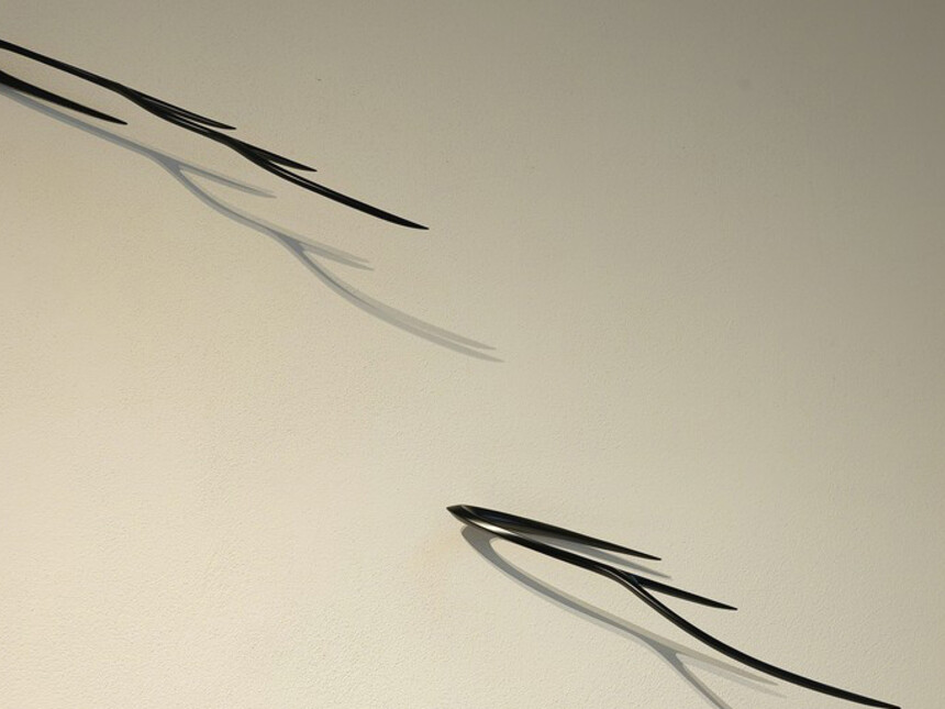 Contemporary Japanese lacquer | Meer